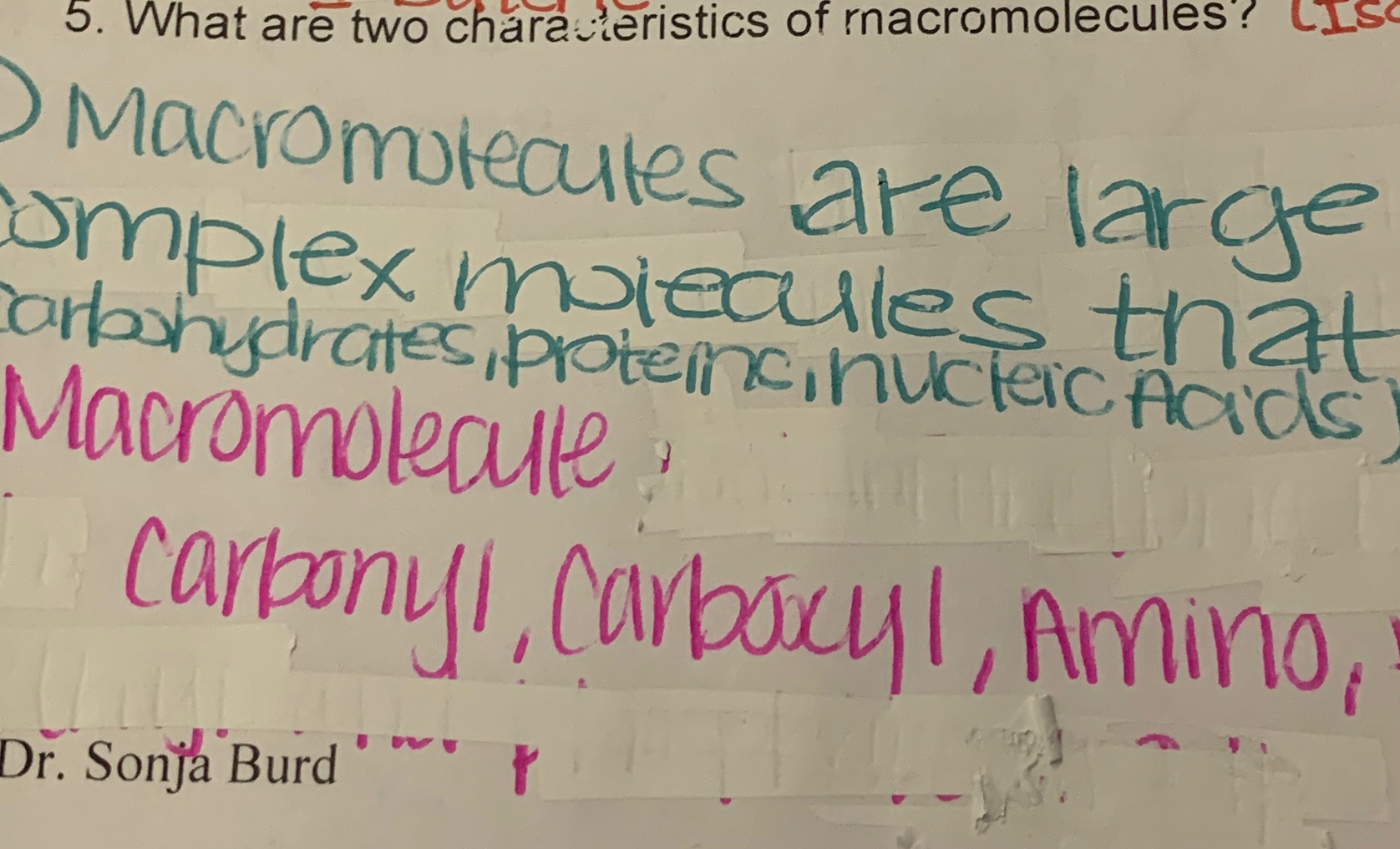 Solved What are two characteristics of macromolecules? | Chegg.com