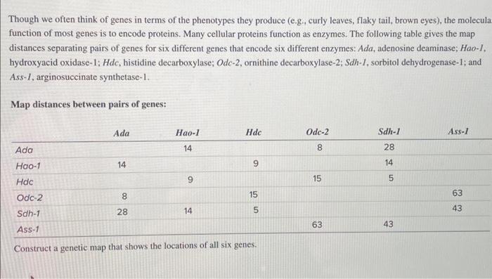 Solved Though we often think of genes in terms of the | Chegg.com