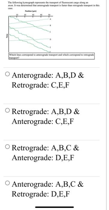Solved Anterograde: A,B,D \& Retrograde: C,E,F Retrograde: | Chegg.com