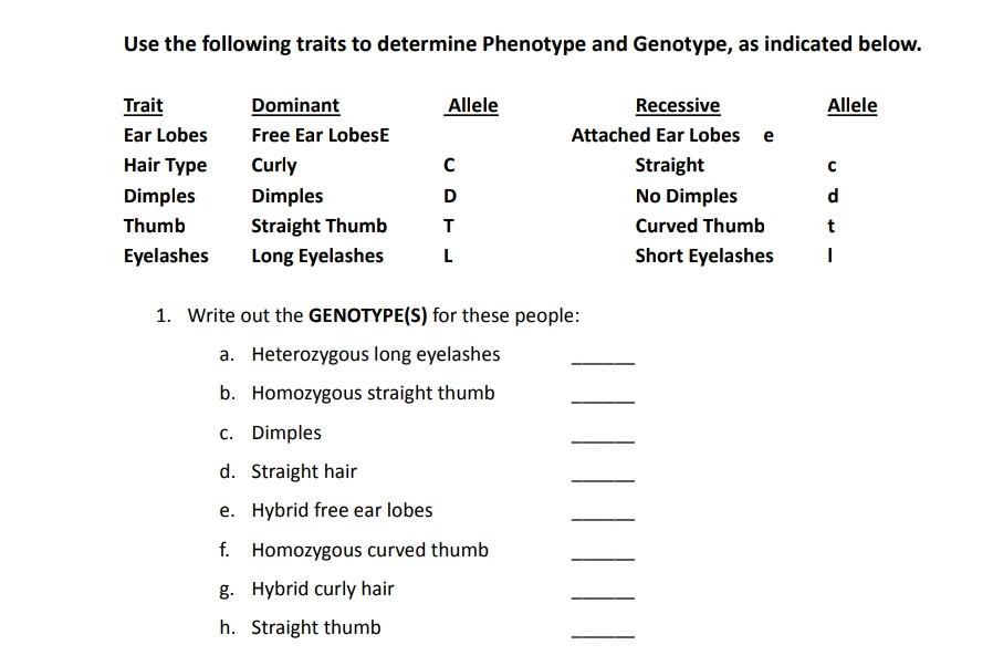 Solved Use the following traits to determine Phenotype and | Chegg.com
