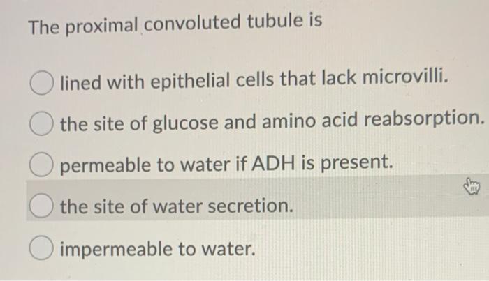 Solved The proximal convoluted tubule is lined with | Chegg.com