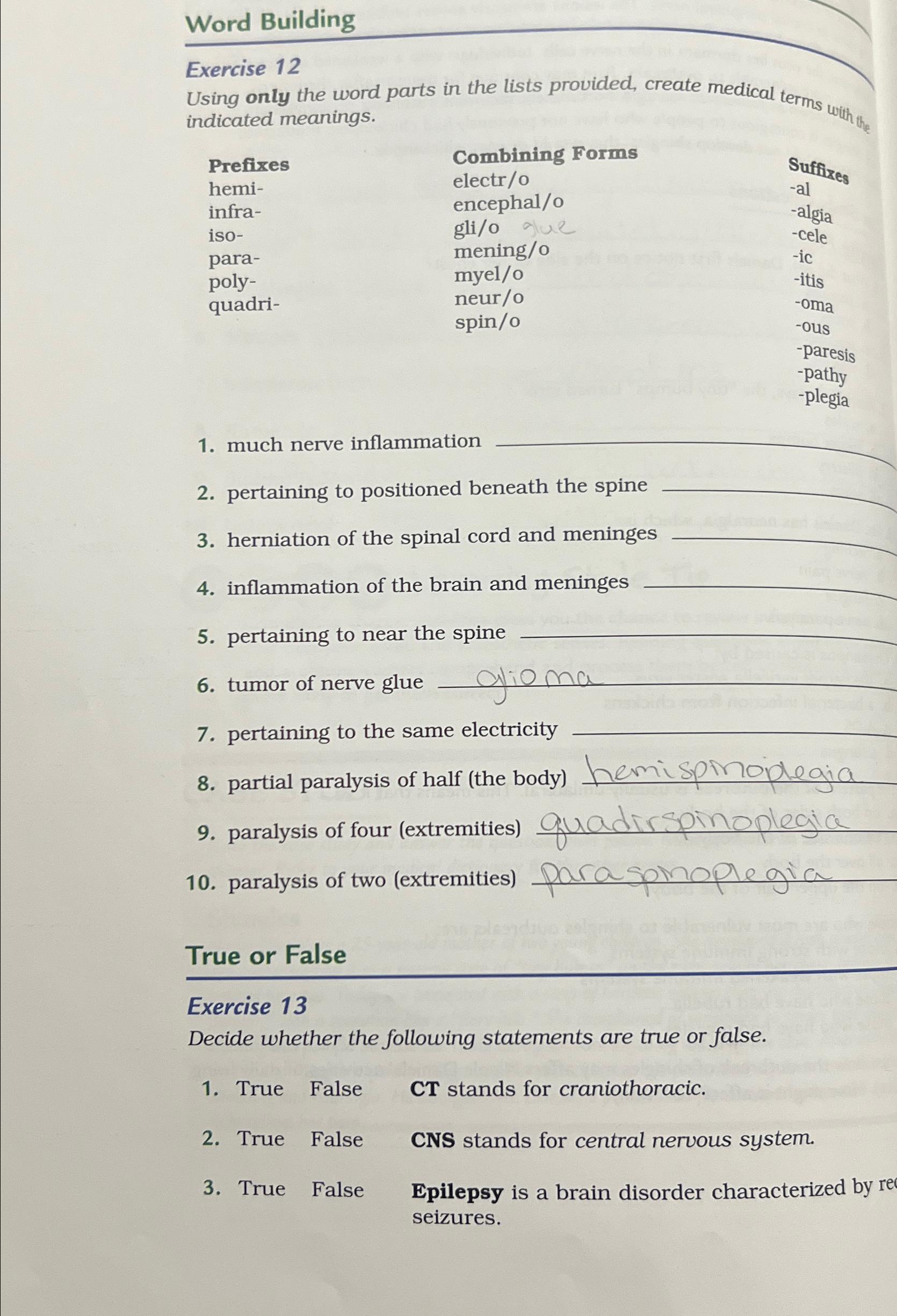 Solved Word BuildingExercise 12Using only the word parts in | Chegg.com