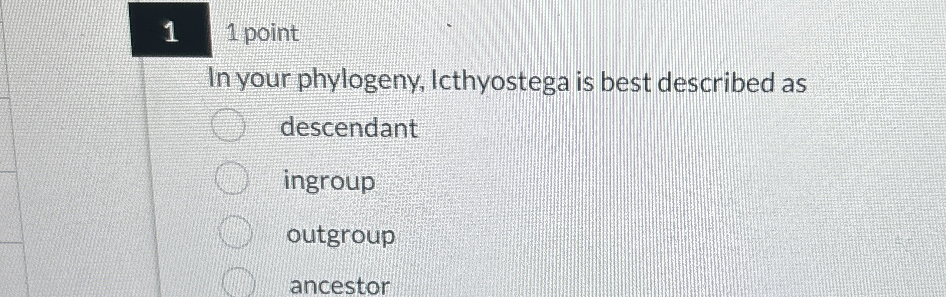 Solved 11 ﻿pointIn your phylogeny, Icthyostega is best | Chegg.com