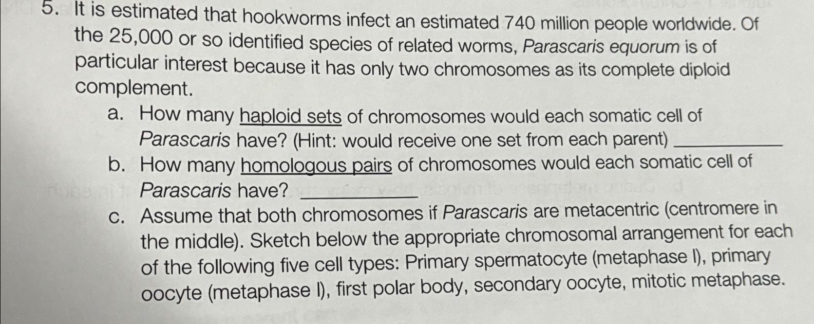 Solved It is estimated that hookworms infect an estimated | Chegg.com