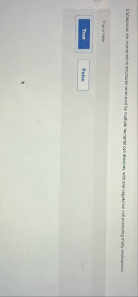 Solved Endospores are reproductive structures produced by | Chegg.com