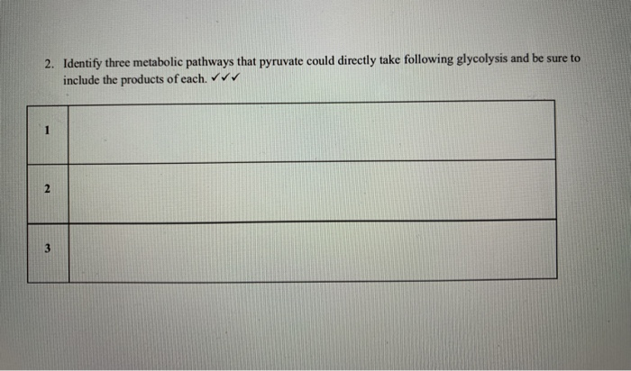 Solved 2. Identify three metabolic pathways that pyruvate | Chegg.com