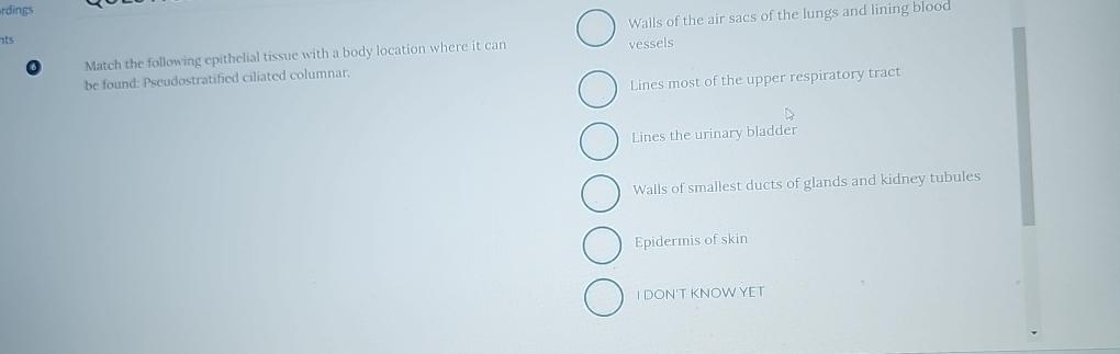 Solved Match the following epithelial tissue with a body | Chegg.com