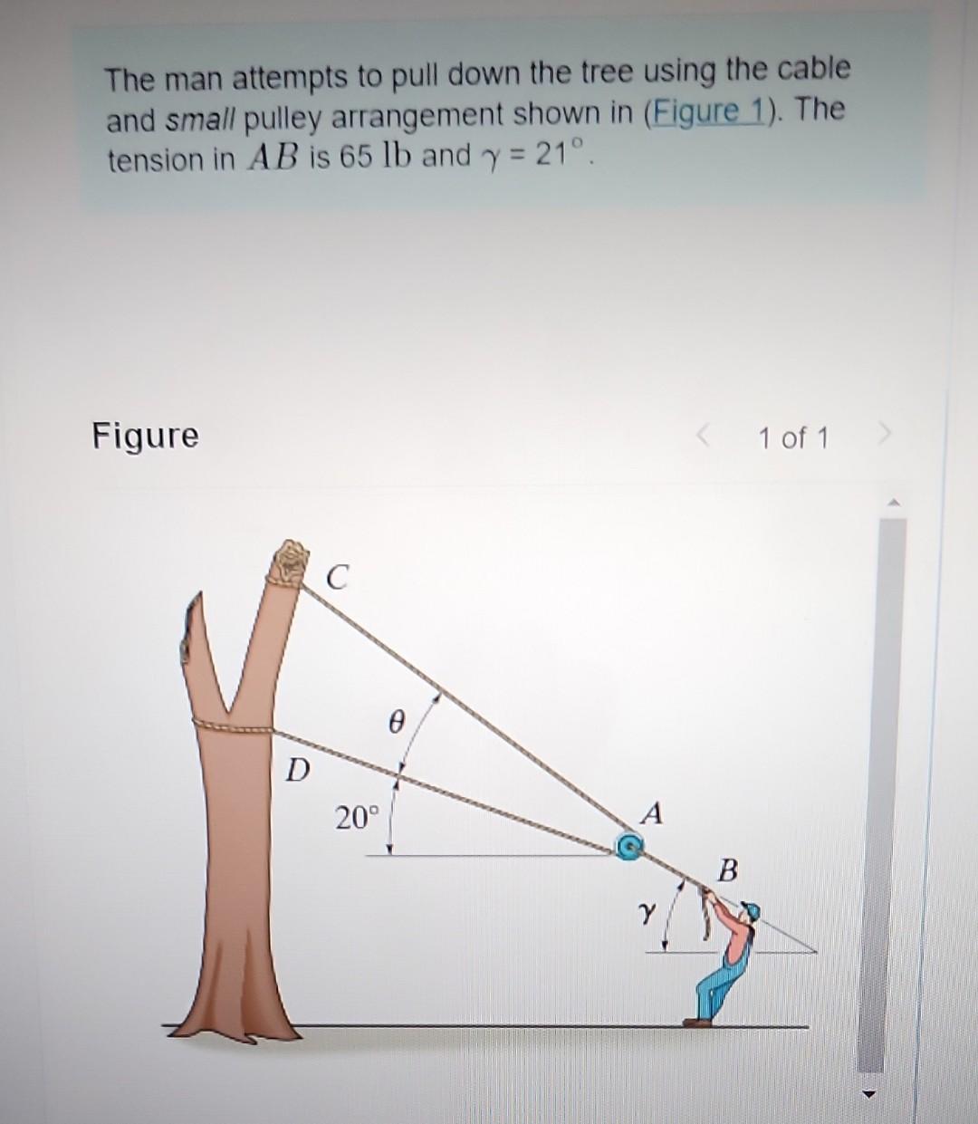 Solved The man attempts to pull down the tree using the | Chegg.com