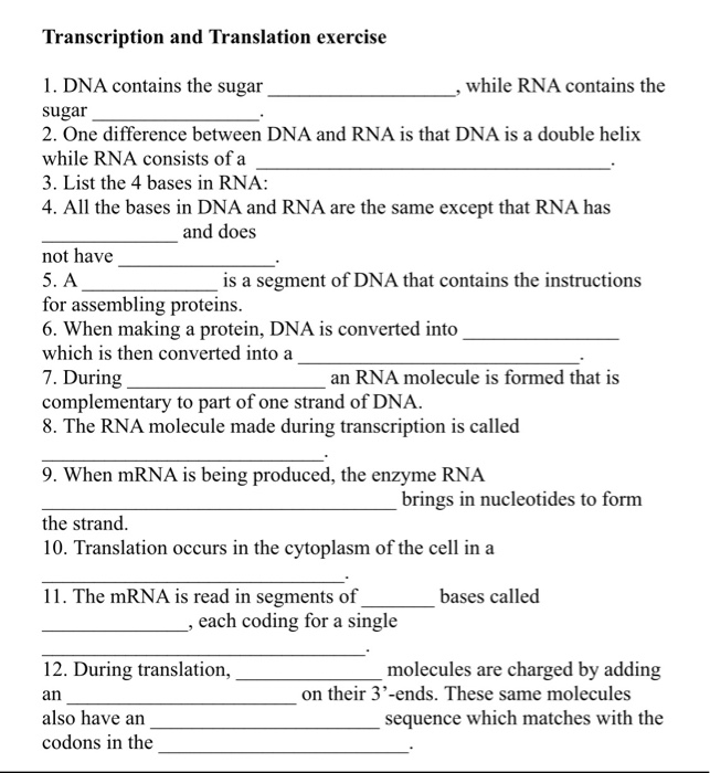 Solved Transcription and Translation exercise 1. DNA | Chegg.com