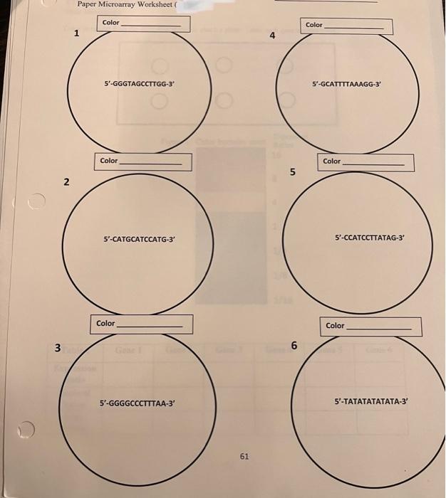 Paper Microarray Worksheet Color Color 1 | Chegg.com