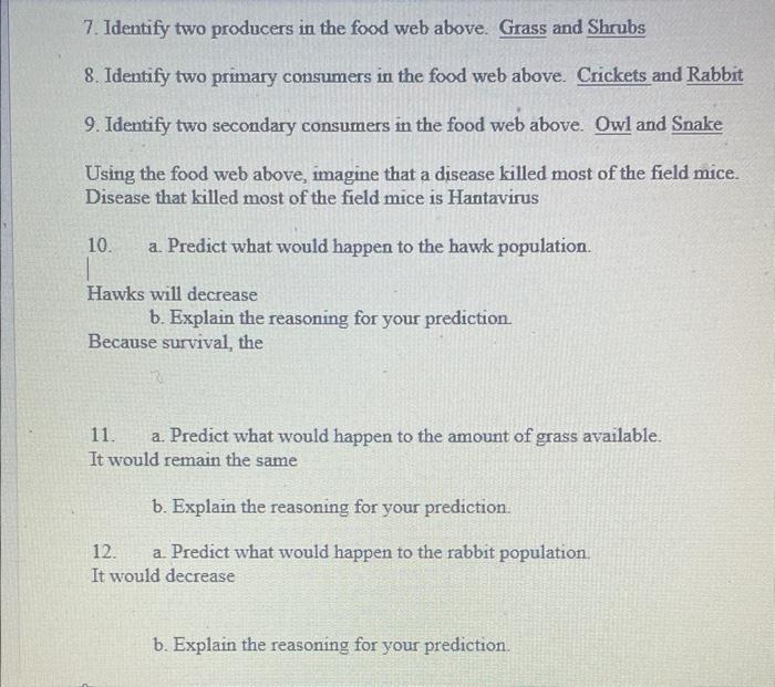 Solved 7. Identify two producers in the food web above. | Chegg.com