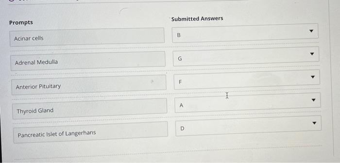 Solved Prompts Submitted Answers Acinar Cells B Adrenal 
