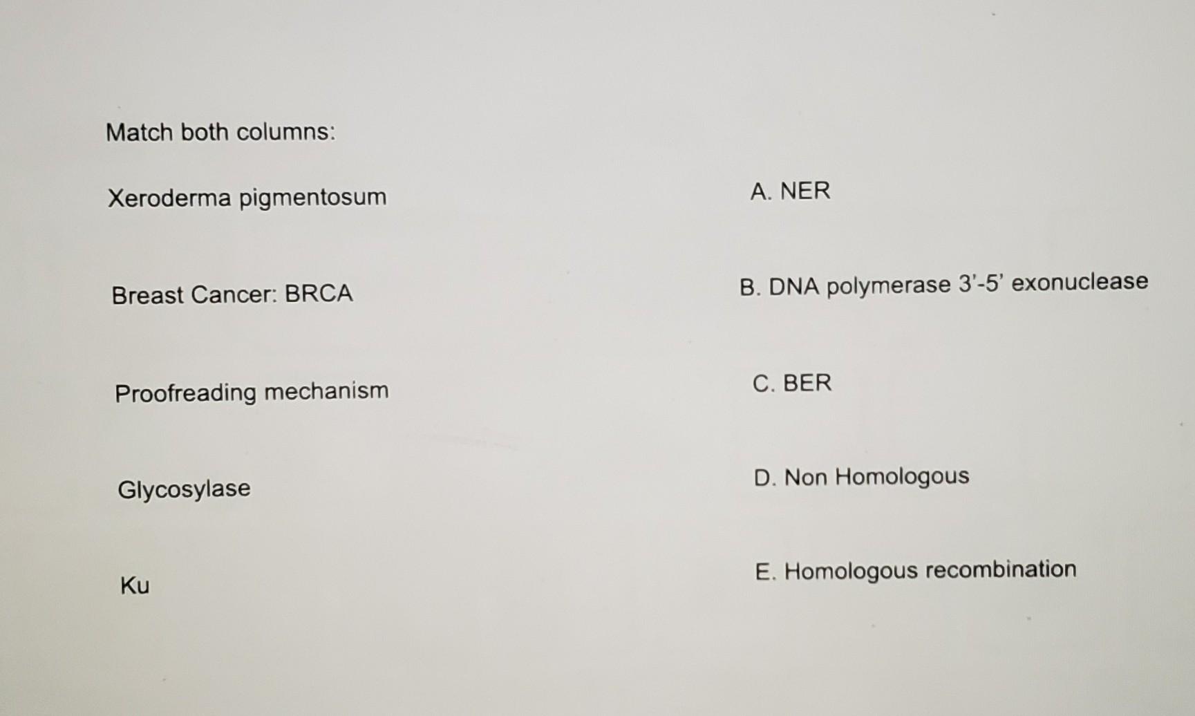 Solved Match both columns: Xeroderma pigmentosum A. NER | Chegg.com