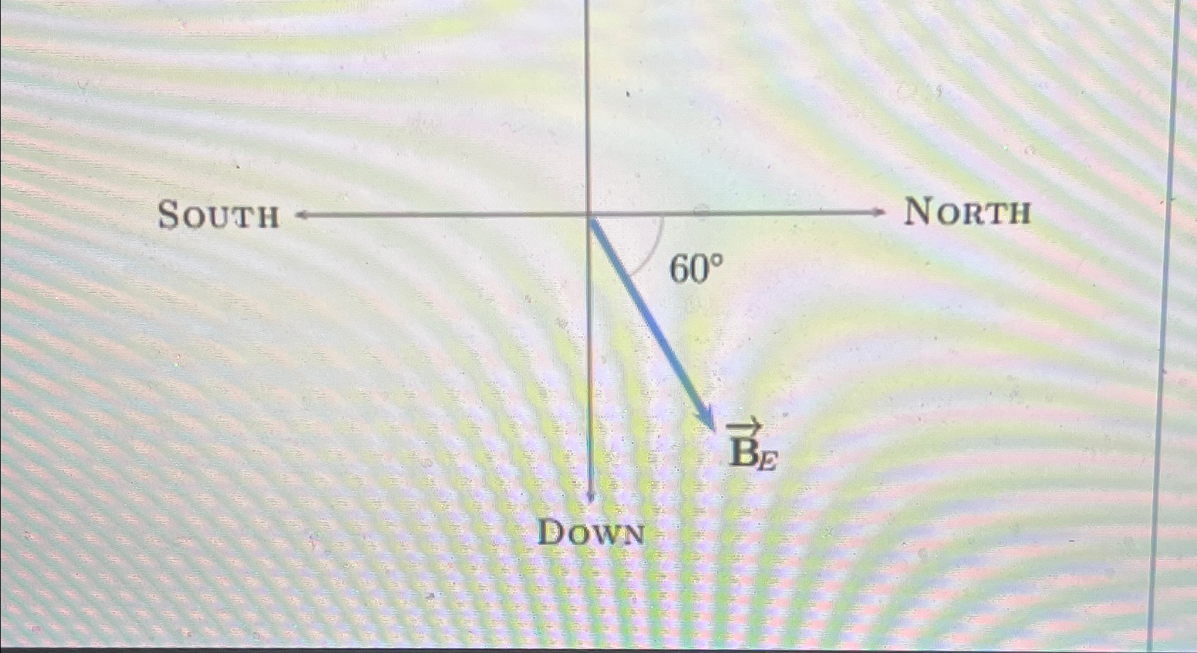 Solved Bats are capable of navigating using the earth's | Chegg.com
