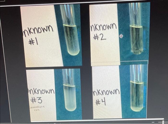 Solved Unknown #1Procedure E: Identification of the Unknown | Chegg.com