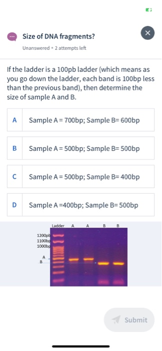 Solved A segment of DNA has two restriction sites-1 and II. | Chegg.com