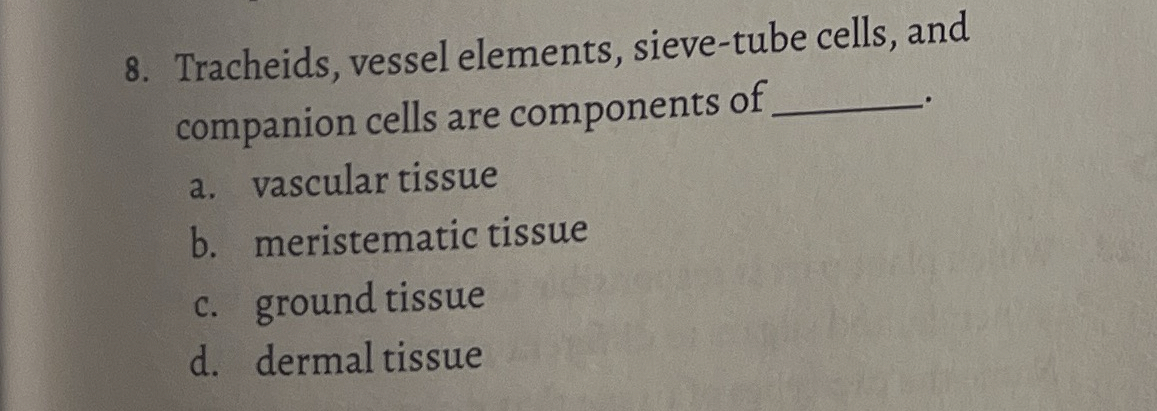 Solved Tracheids, vessel elements, sieve-tube cells, and | Chegg.com