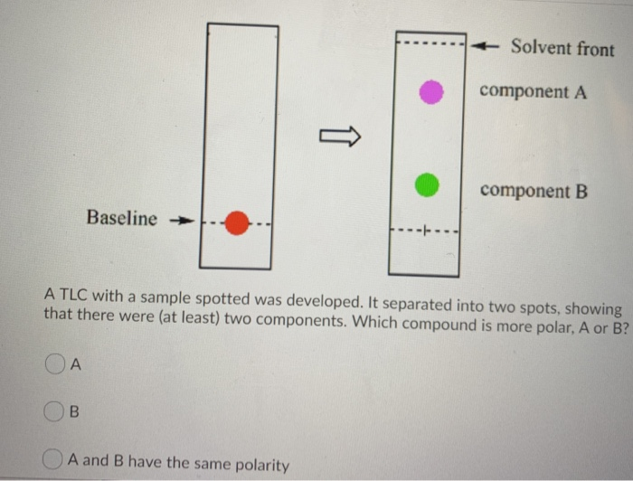 Solved Solvent front component A component Baseline A TLC | Chegg.com