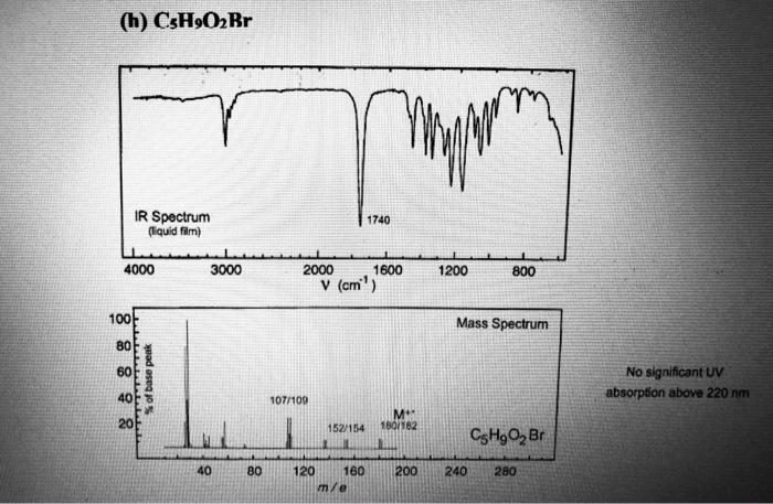 Solved (h) CsH902Br 1740 IR Spectrum (liquid film) 4000 3000 | Chegg.com