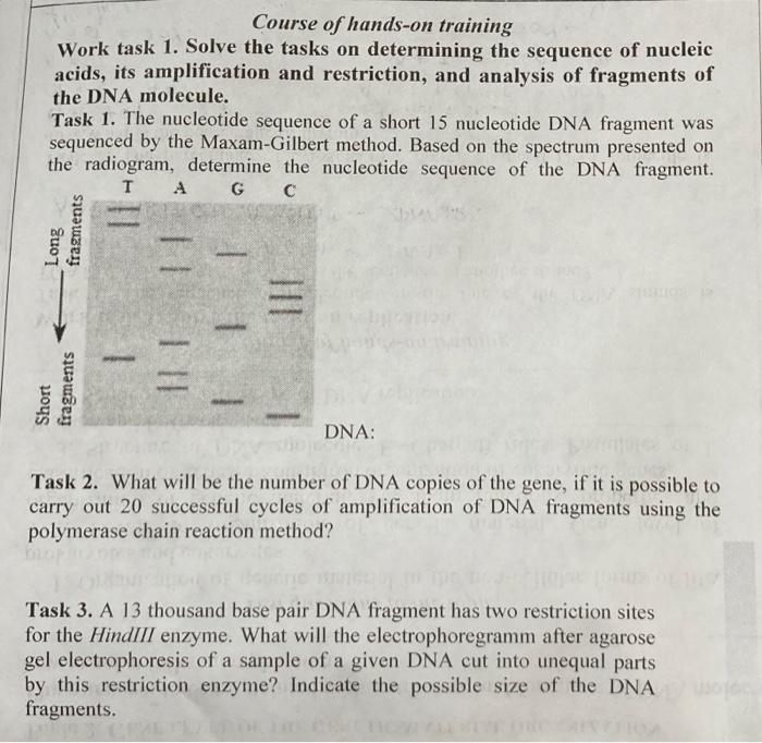 Solved Course of hands-on training Work task 1. Solve the | Chegg.com