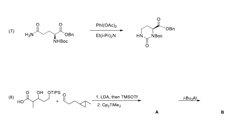 Solved 0 Phl(OAC)2 OBn (7) H2N OBn NHBọc Et(i-Pr)2N HN N BOC | Chegg.com