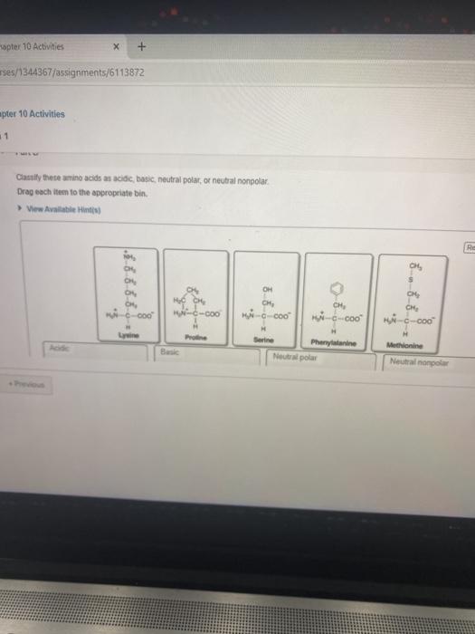 Solved apter 10 Activities х | Chegg.com