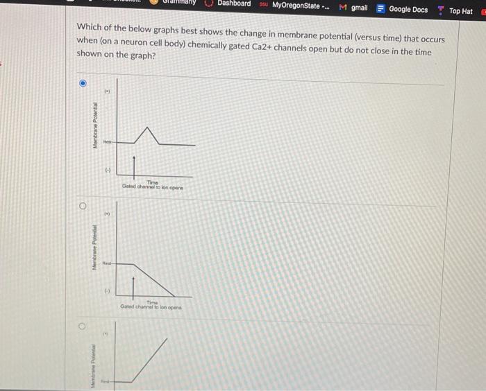 Solved Which of the below graphs best shows the change in | Chegg.com