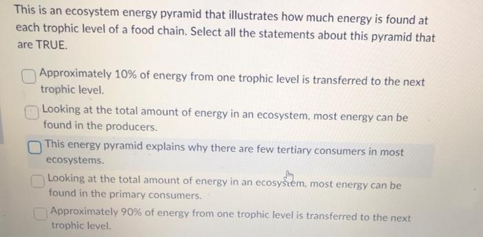 Solved This is an ecosystem energy pyramid that illustrates | Chegg.com