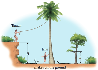 Solved Tarzan swings on a vine from a cliff to rescue Jane, | Chegg.com