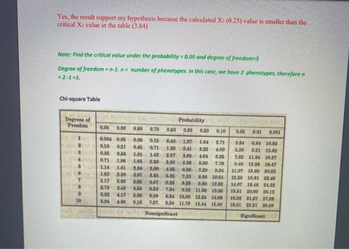 Solved Please Help Me To Write This Lab Assisment This Is 1827