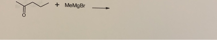 Solved Y + Moger + MeMgBr | Chegg.com