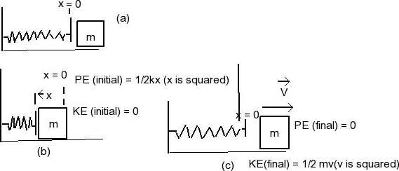 A horizontal spring attached to a wall has a force | Chegg.com