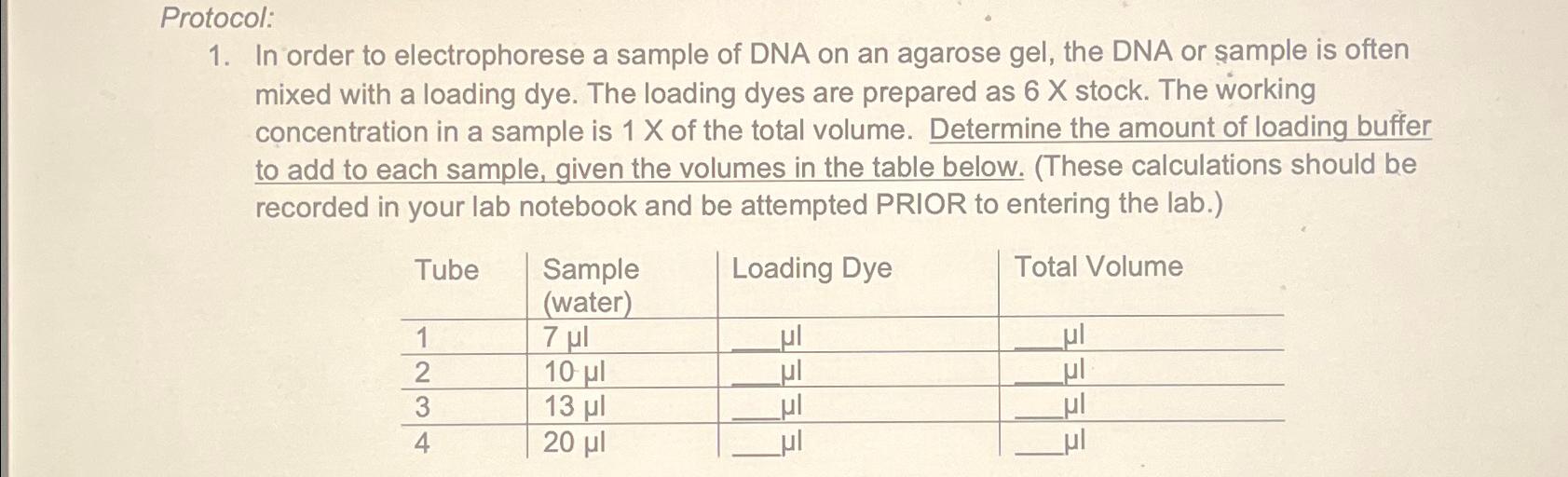 Solved Protocol:In order to electrophorese a sample of DNA | Chegg.com