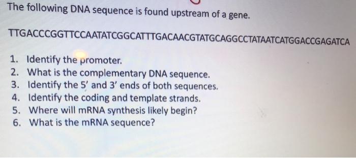 Solved The following DNA sequence is found upstream of a | Chegg.com