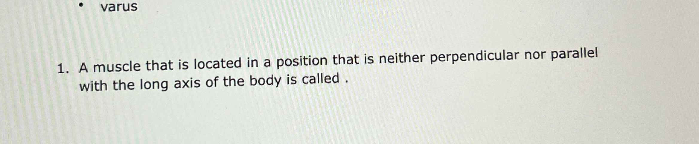 Solved varusA muscle that is located in a position that is | Chegg.com