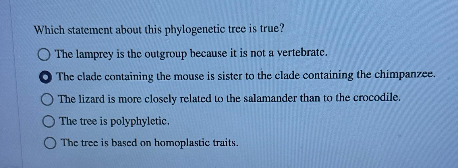 Solved Which statement about this phylogenetic tree is | Chegg.com