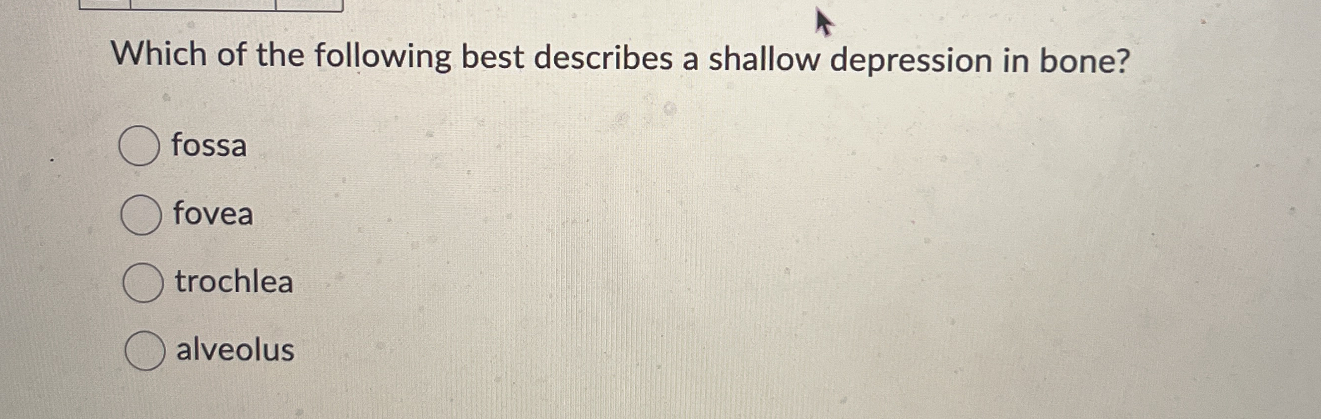 Solved Which of the following best describes a shallow | Chegg.com