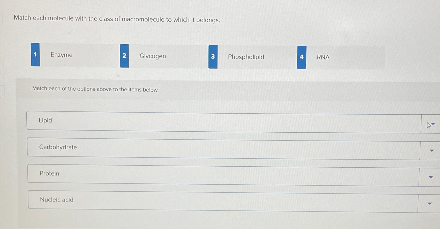 Solved Match each molecule with the class of macromolecule | Chegg.com