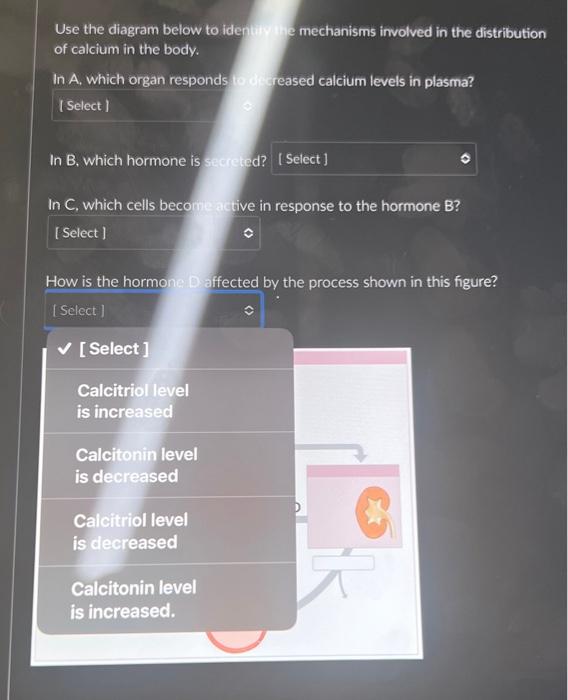 Solved Use the diagram below to identify the mechanisms | Chegg.com