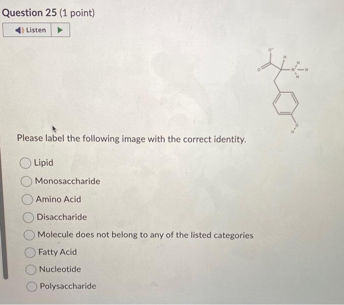 Solved Please label the following image with the correct | Chegg.com