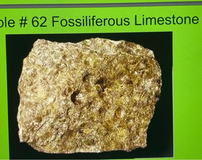 Solved Step 3: Use the igneous rock identification key in | Chegg.com