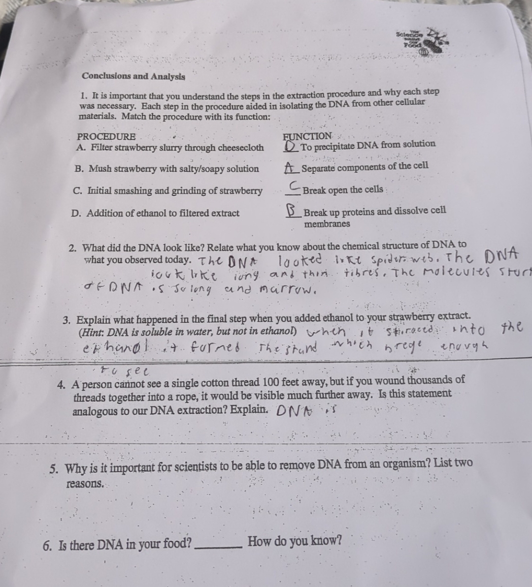 Solved Conclusions and AnalysisIt is important that you | Chegg.com