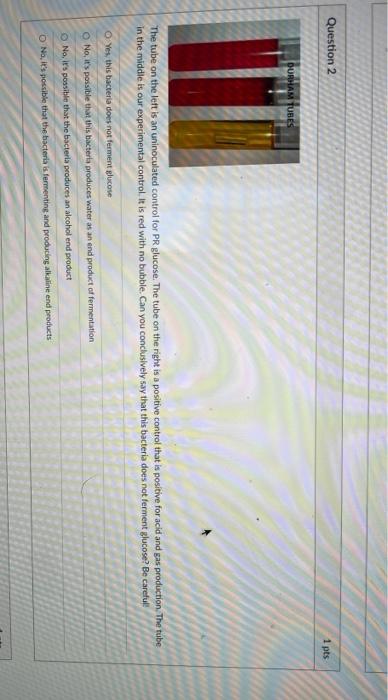 Solved Question 1 DURHAM TUBES The tube on the left is an | Chegg.com