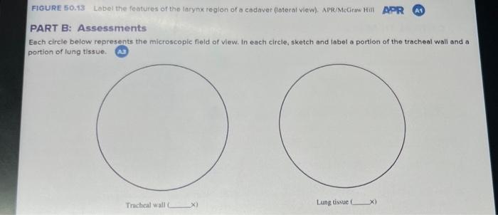 Solved PART B: Assessments Each circle below represents the | Chegg.com