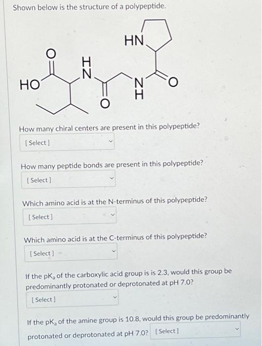 Solved Shown below is the structure of a polypeptide. How | Chegg.com