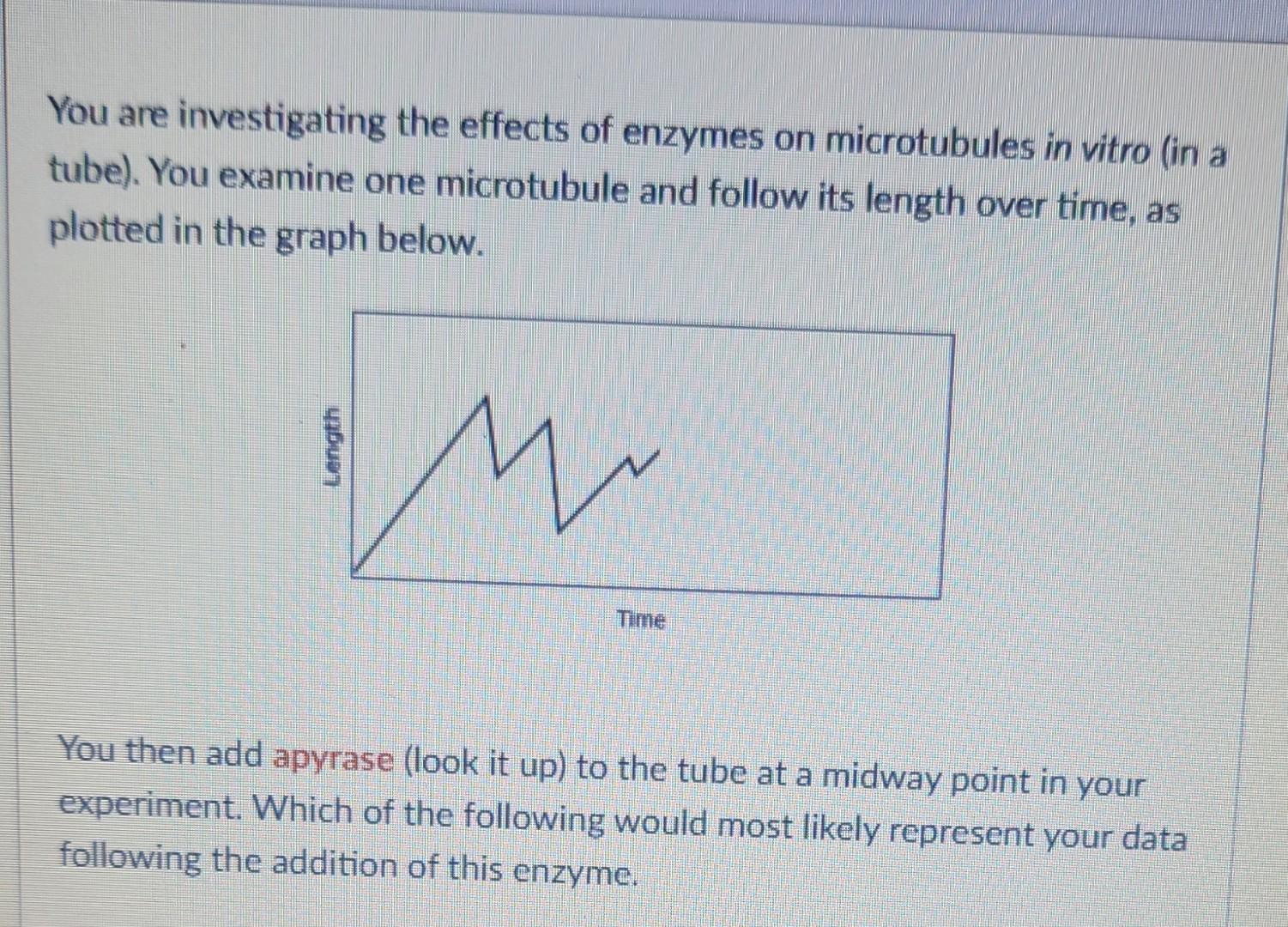 Solved You are investigating the effects of enzymes on | Chegg.com