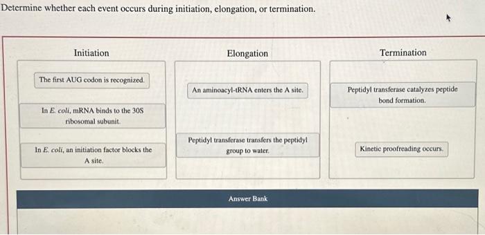 Solved Determine whether each event occurs during | Chegg.com