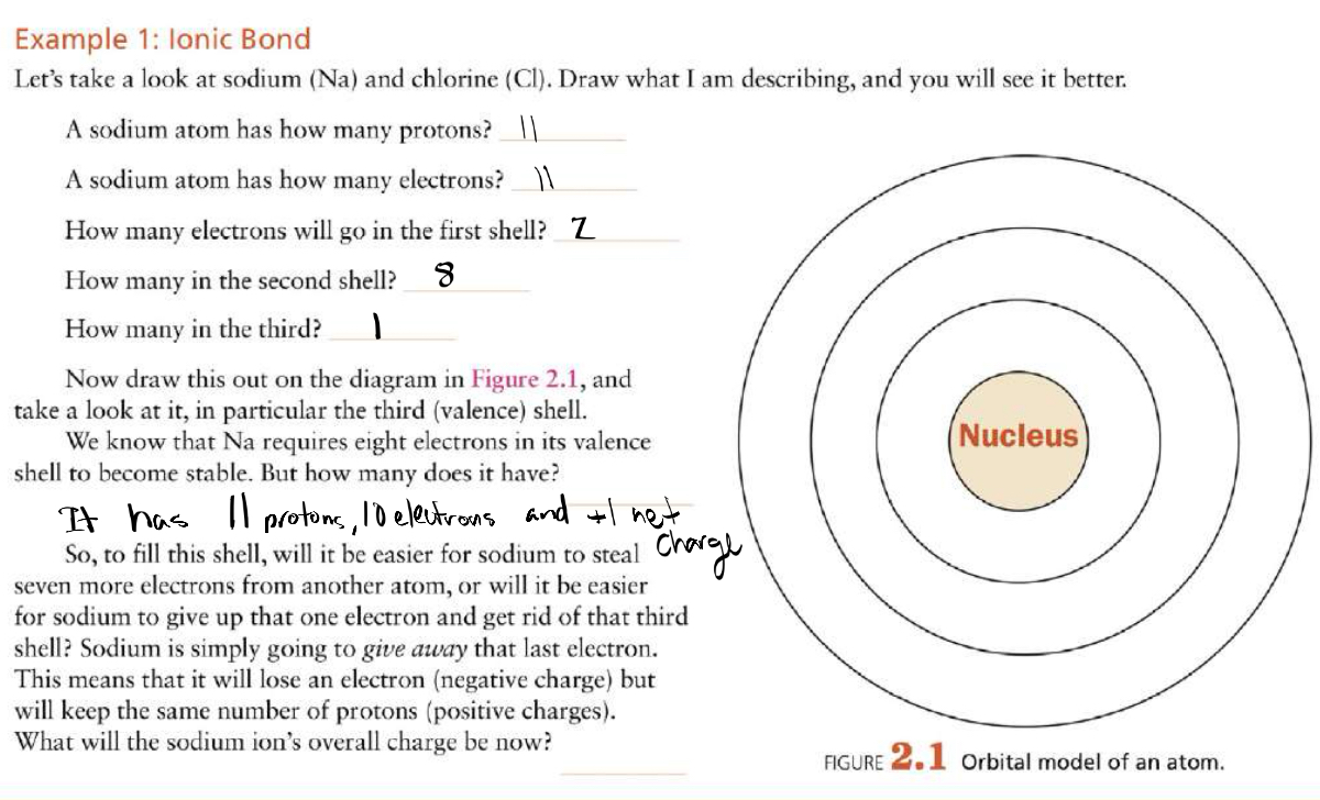 Solved Example 1 ﻿Sodium and Chlorine Let's take a look at | Chegg.com