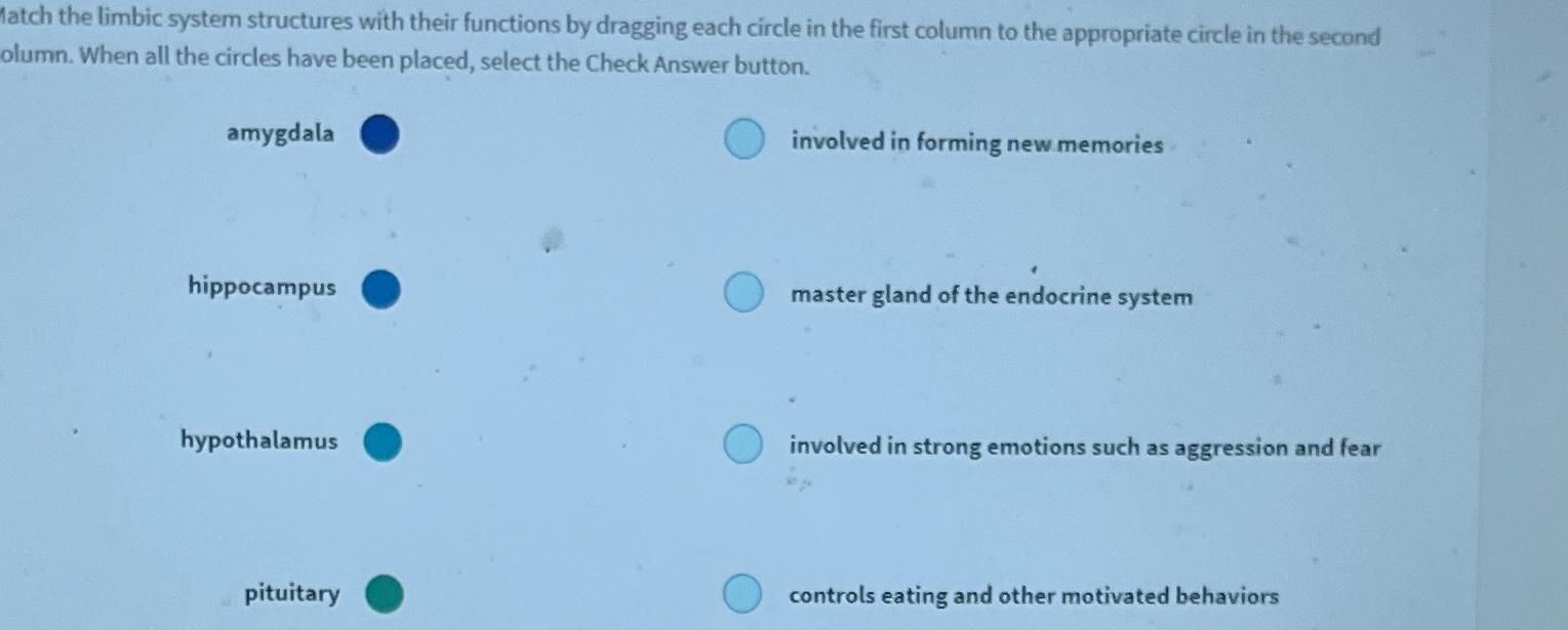 Solved latch the limbic system structures with their | Chegg.com