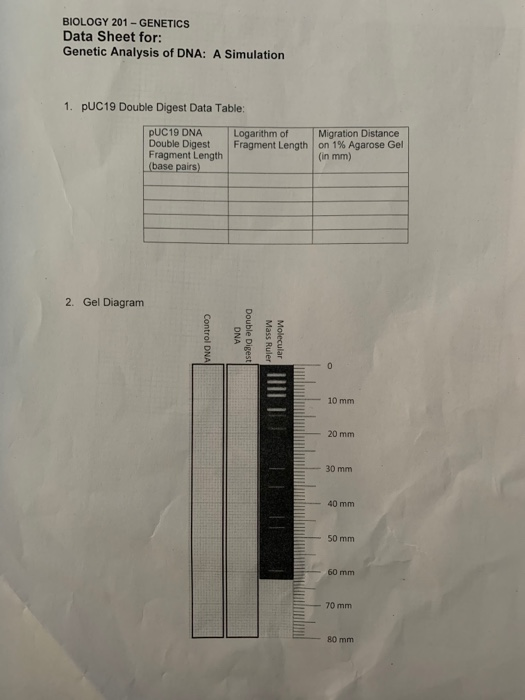 BIOLOGY 201 - GENETICS Genetic Analysis of DNA: A | Chegg.com